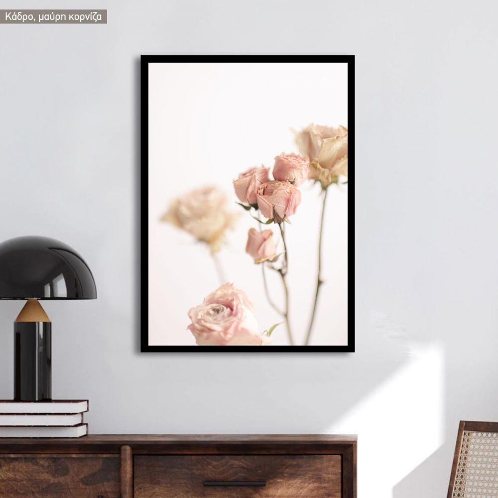 Pink roses, poster