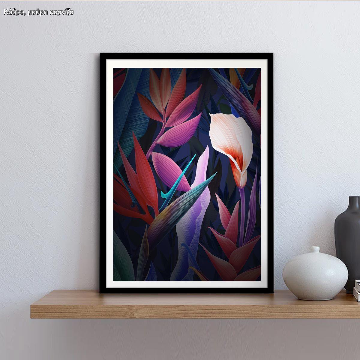 Succulent plants, poster