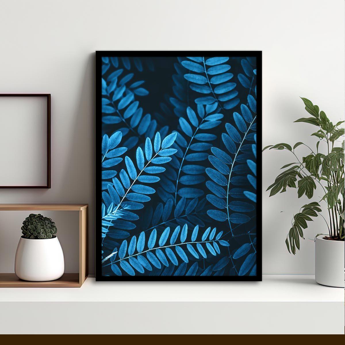 Blue acacia Poster