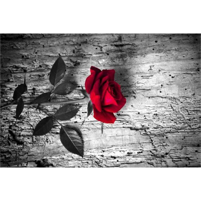 Wallpaper Red passion