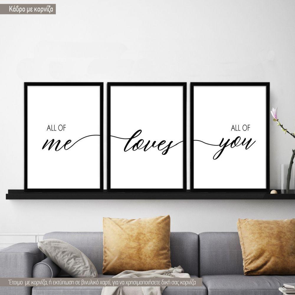 Poster All of me loves all of you