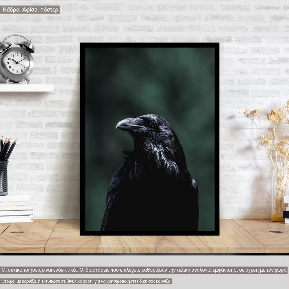 A raven, @dmtrdon, Poster