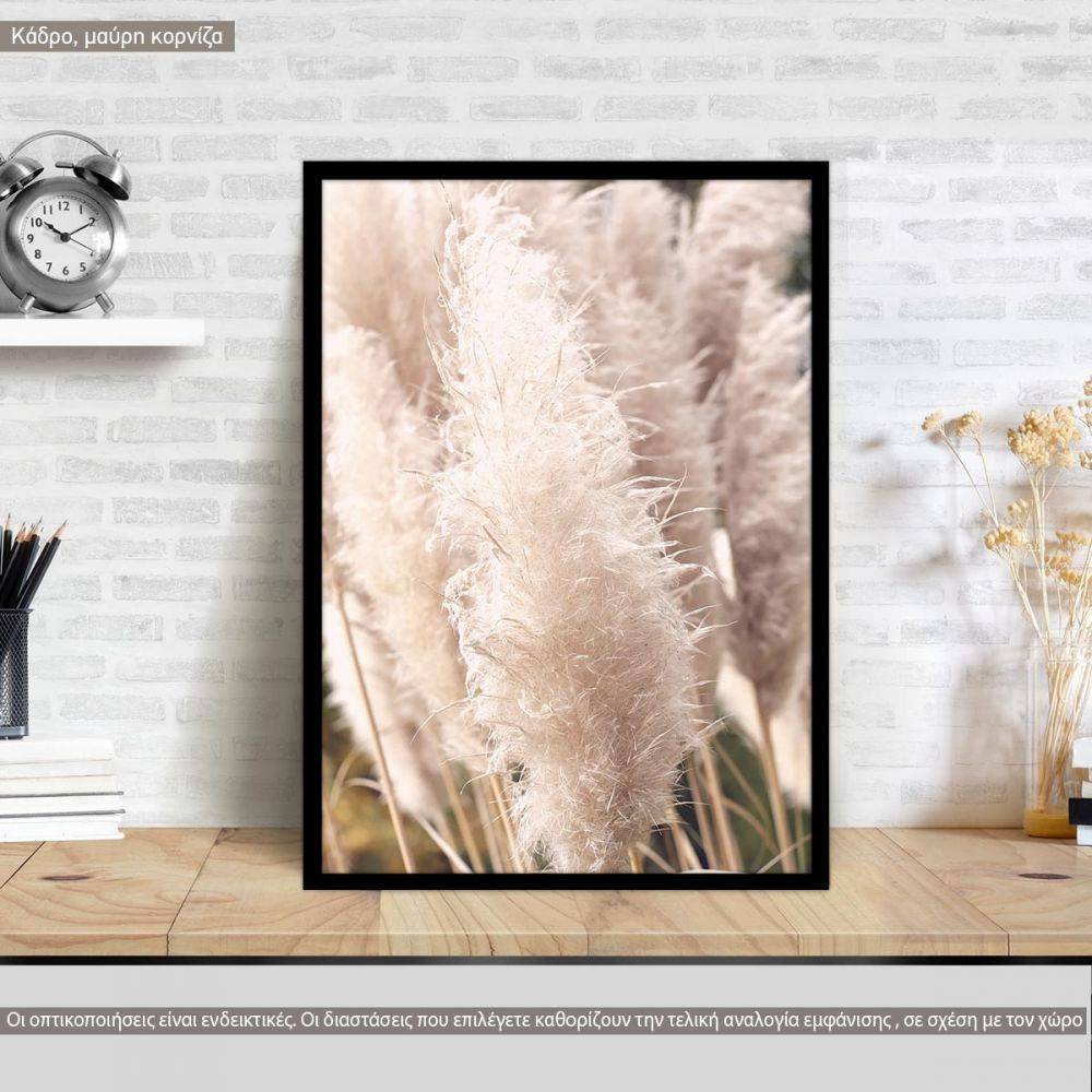 Dried reeds VIII, αφίσα, κάδρο