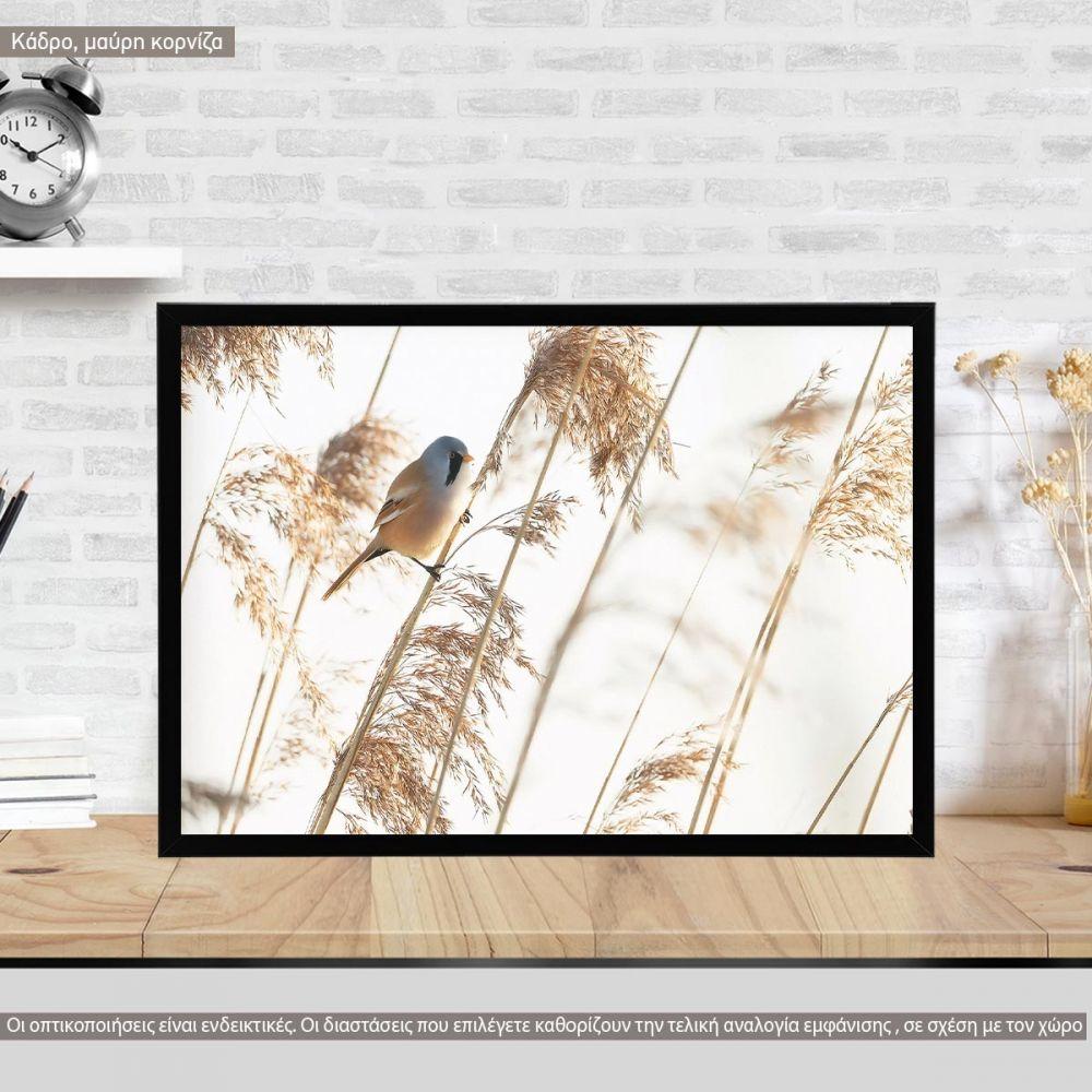 Bird with reeds, poster