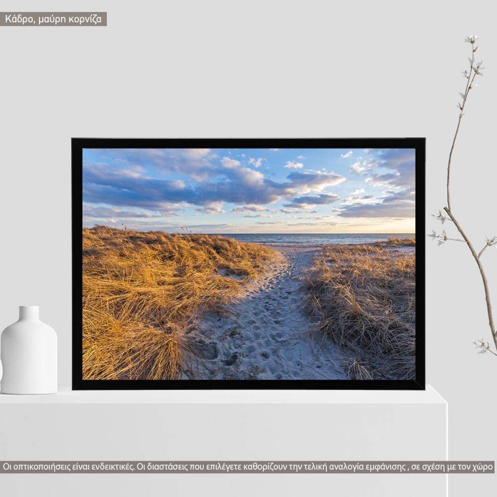 Sandy path to sea, poster